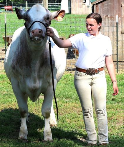 Queen Anne’s County 4-H hosts Eastern Shore Spring Show | Local ...