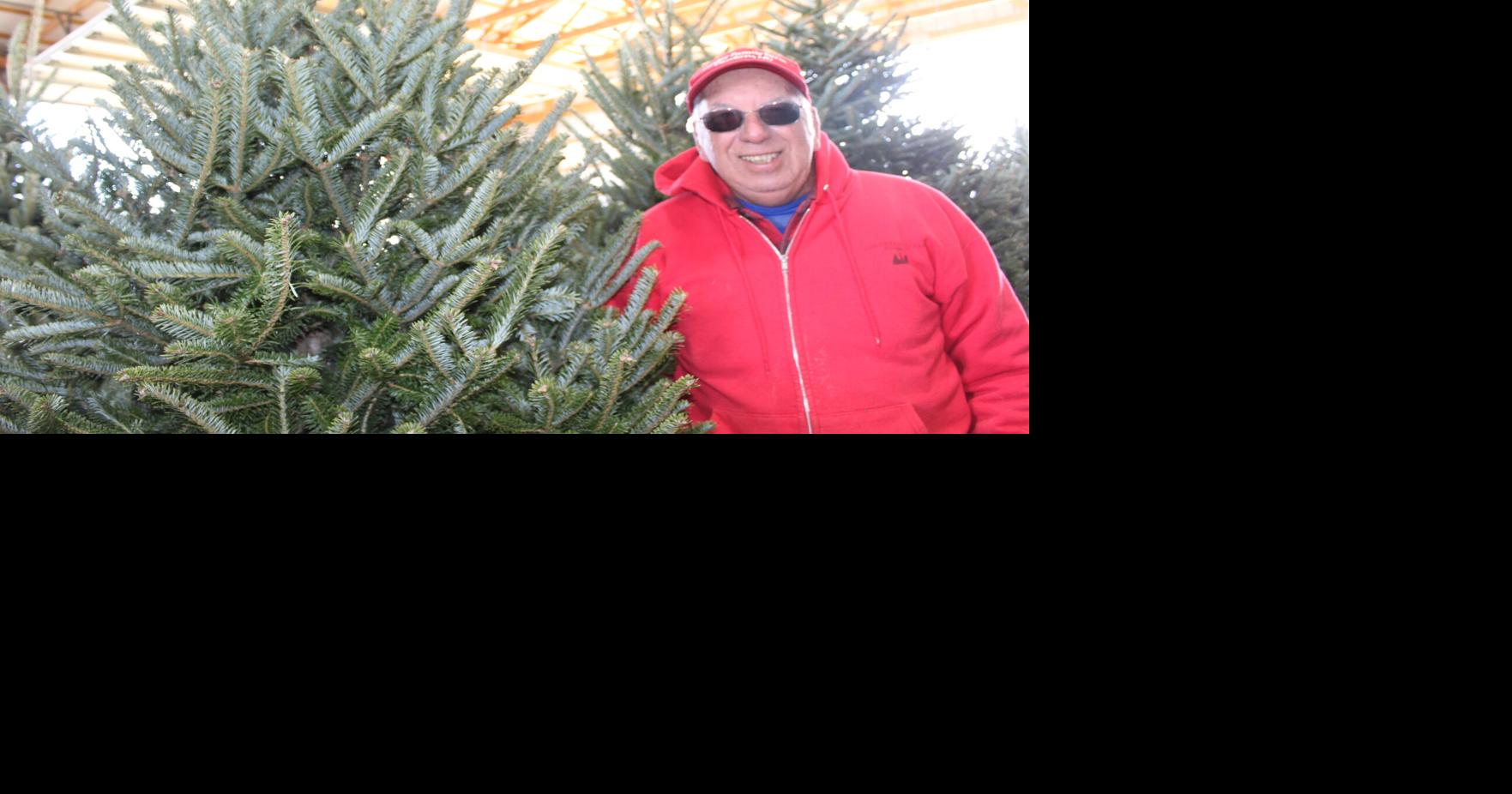 Cawley Family Farm offers variety of holiday trees, greens | Local ...