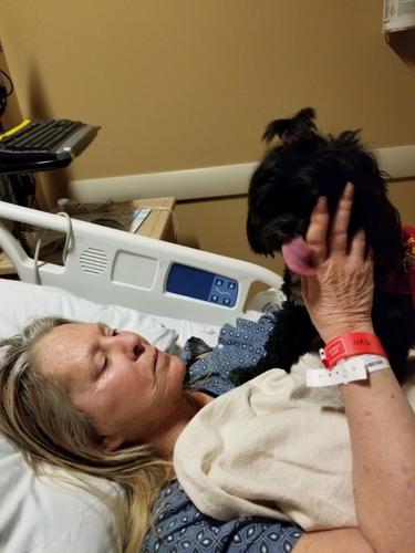 Canines for Christ spread joy, one dog at a time | Local | stardem.com