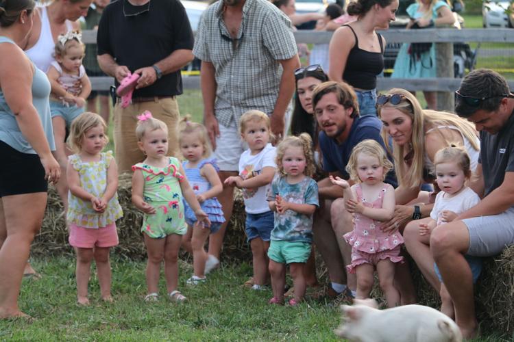 Flying pigs meet squealing kids at fair | Local | stardem.com