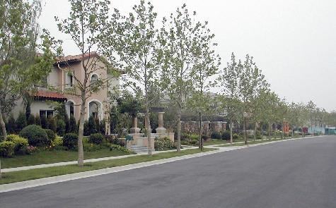 American-style suburbs in demand in China, Middle East | News | stardem.com