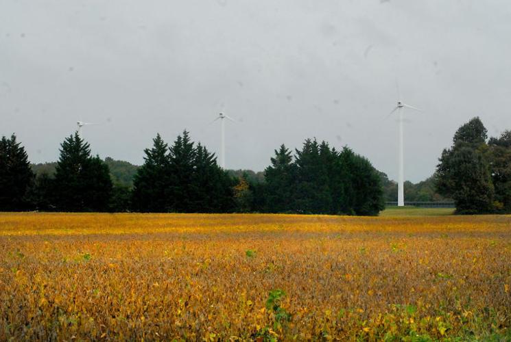 Wind, Priuses: Talbot profits from going green | Local | stardem.com