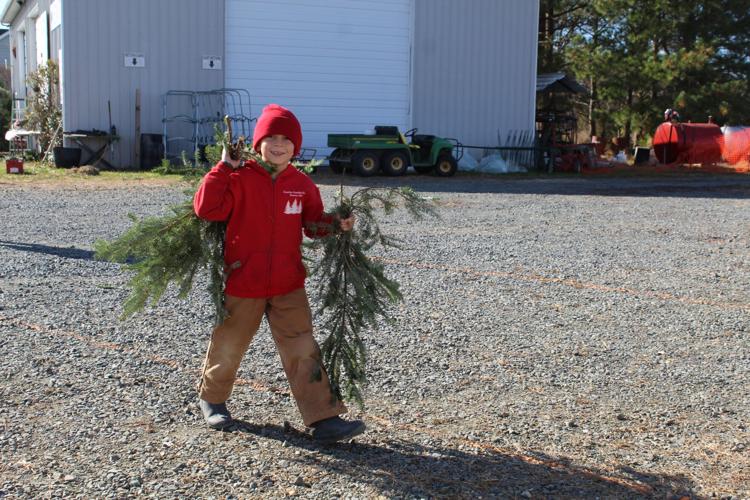 Cawley Family Farm offers variety of holiday trees, greens | Local ...