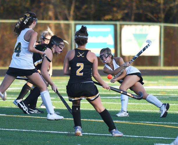 Lions advance on late Sweitzer goal | High Schools | stardem.com