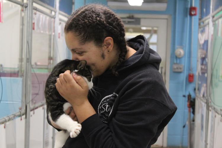 Talbot Humane shares promising data, plans for a new shelter | Local | stardem.com