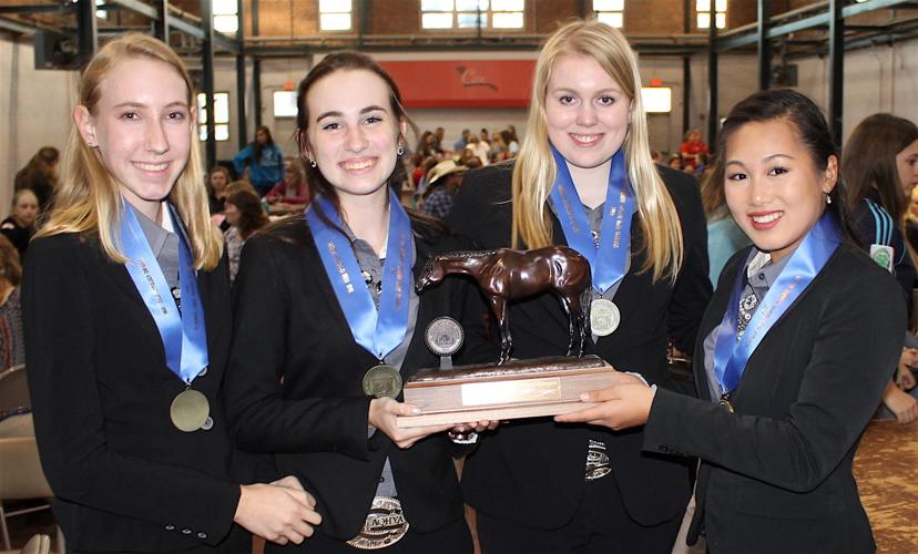 Local 4-H'er Jennifer Gannon medals at QH Congress | Local | stardem.com