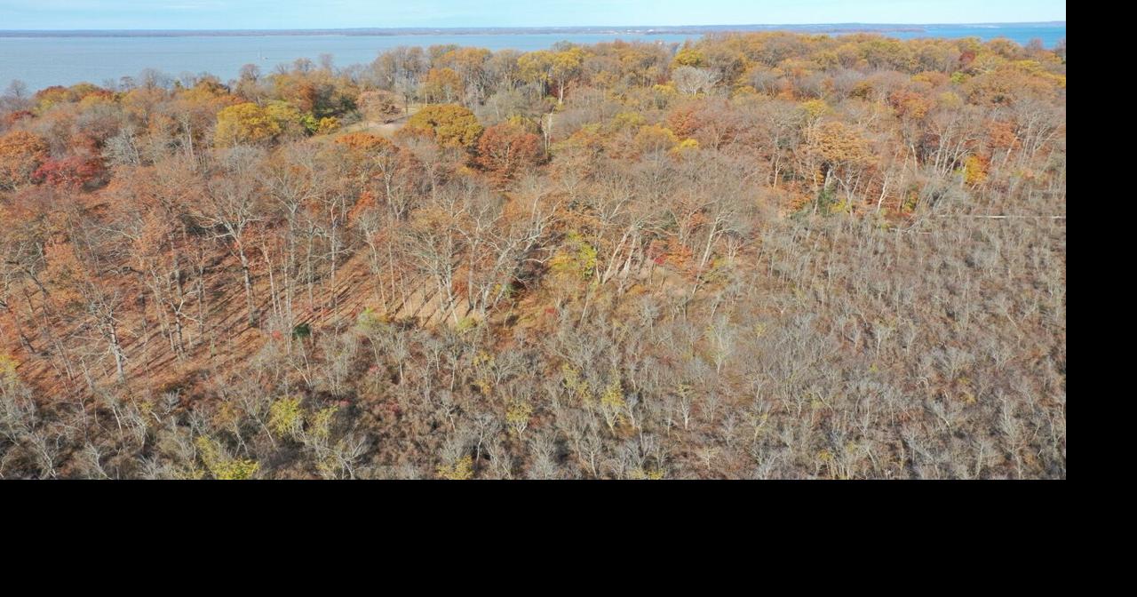 Conservancy group completes restoration of Camp Grove Point | Life ...