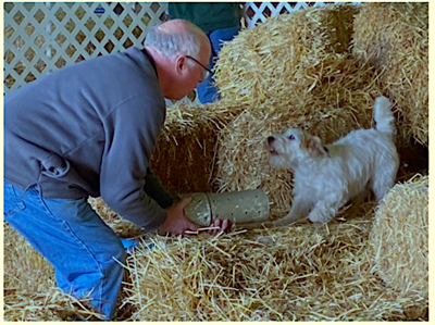 On the hunt for 'rat' October | Life | stardem.com