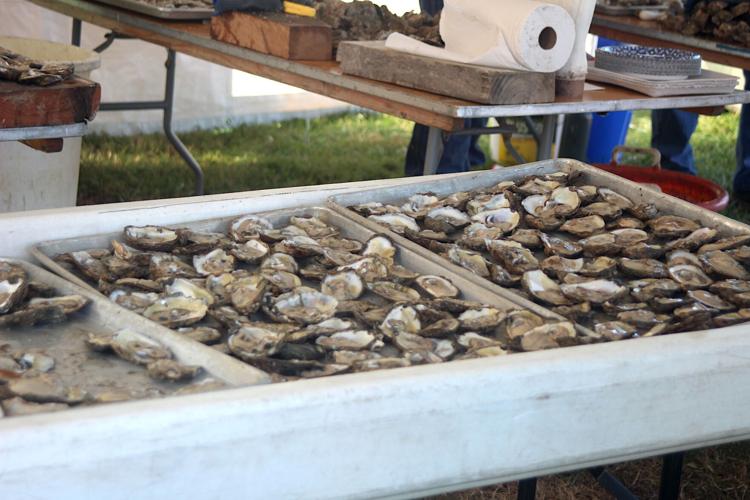 Hundreds attend OysterFest at Chesapeake Bay Maritime Museum | Local ...