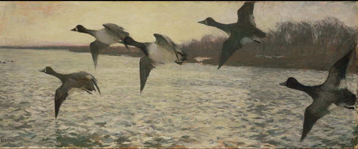 Benson's birds: AAM art exhibit explores vintage prints | Entertainment ...