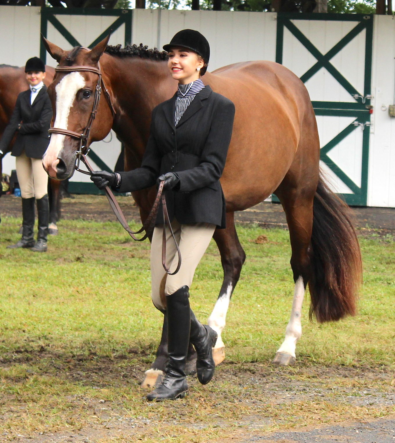 Splish-splashing English horse show held in mud | Local | stardem.com