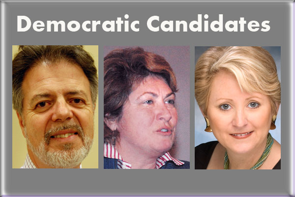 3 Dems vie for 1st District seat held by Harris | Election 2012 ...