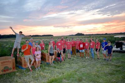 How sweet it is: MD Food Bank hosts sweet corn gleaning | | stardem.com