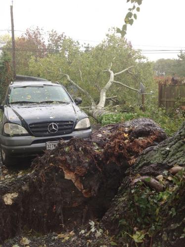 Hurricane Sandy damage in St. Michaels and Tilghman Island | Local ...