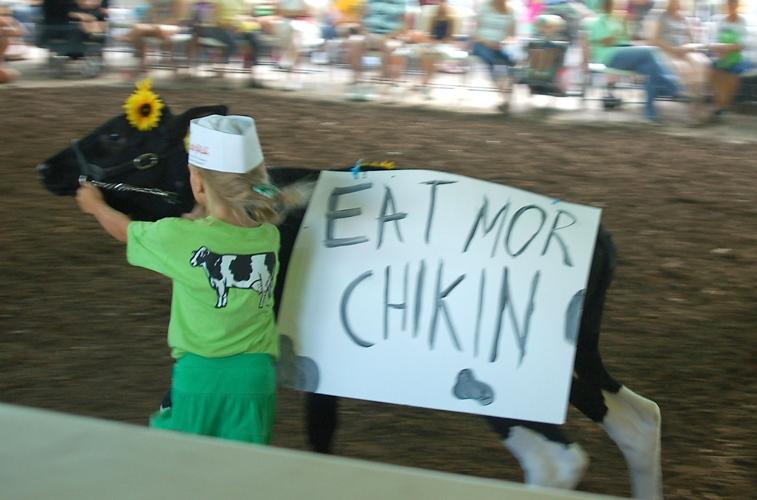 Queen Anne's County Fair — Pretty Animal Contest | Featured | stardem.com