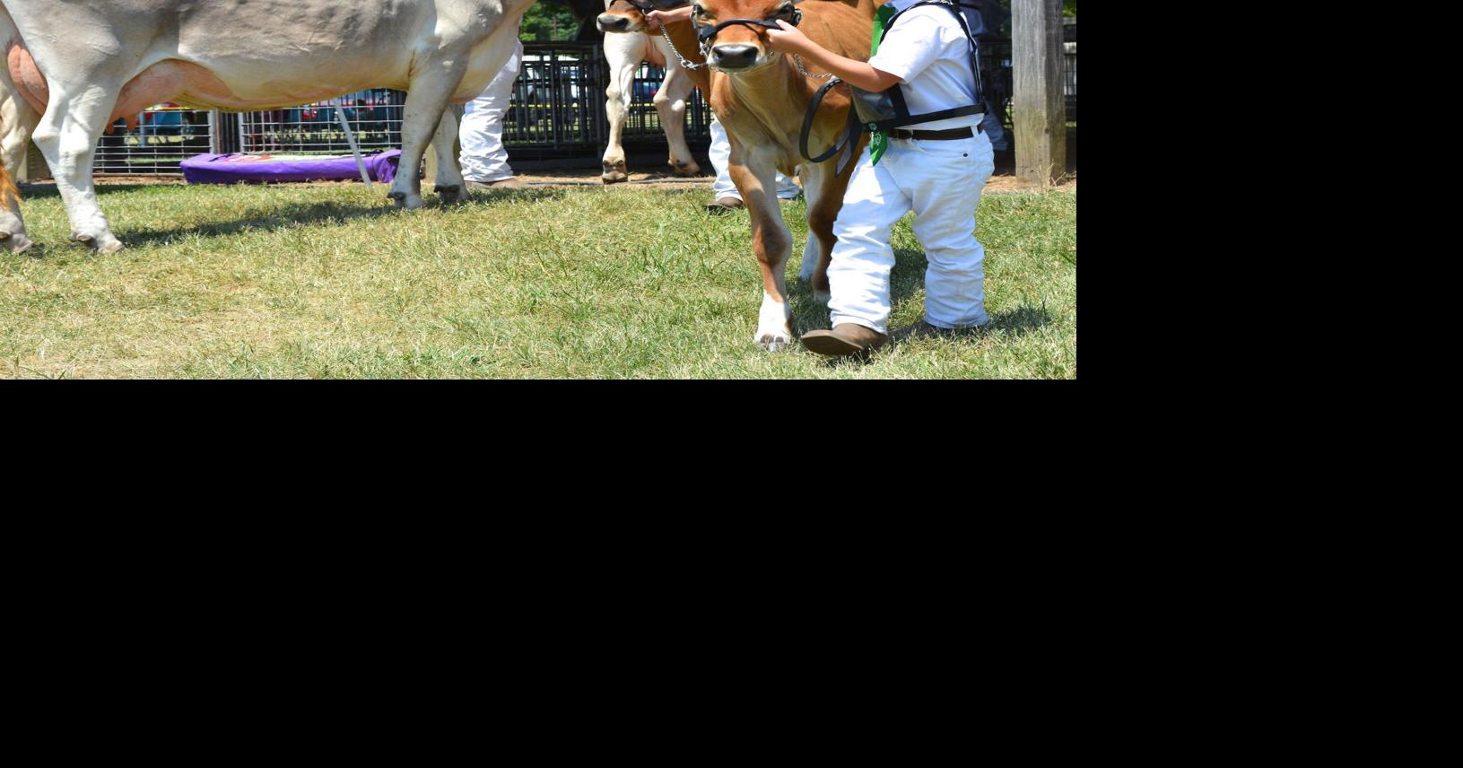 Kent County Fair 2016 | Gallery | stardem.com