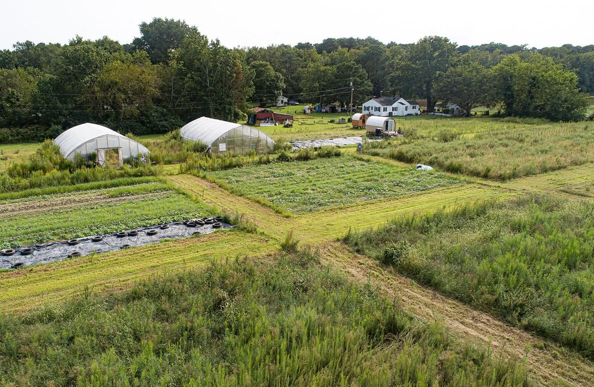 Black farmers embrace African practices as empowering | Local | stardem.com