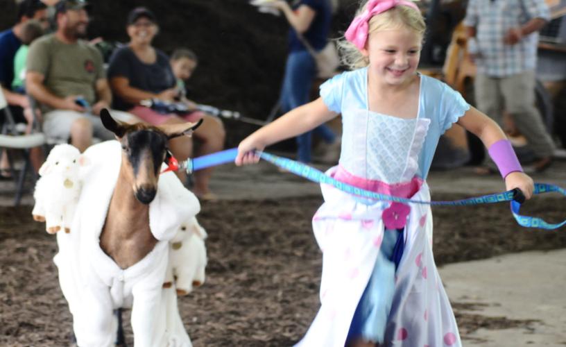 Children get creative in Pretty Animal Contest | Local | stardem.com