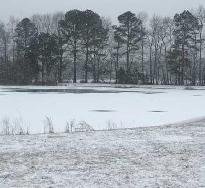 Snowstorm pushes Talbot schools to virtual classes; no snow day | Local ...
