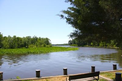 Full Moon Party slated for Martinak State Park | Life | stardem.com