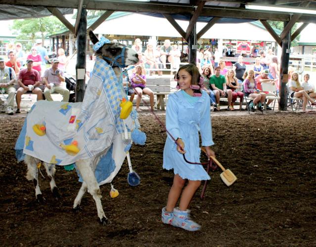 Pretty Animal Contest winners announced | Local | stardem.com