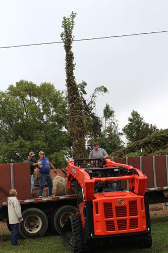 Volunteers prep Bay City tree plantings | Local | stardem.com