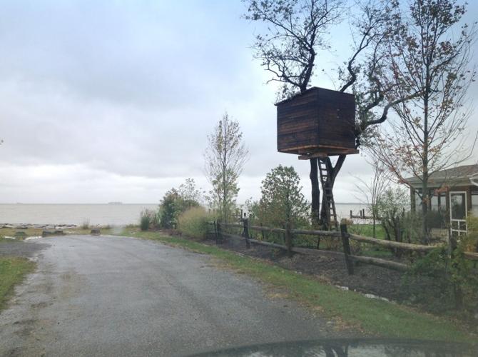 Hurricane Sandy damage in St. Michaels and Tilghman Island | Local ...