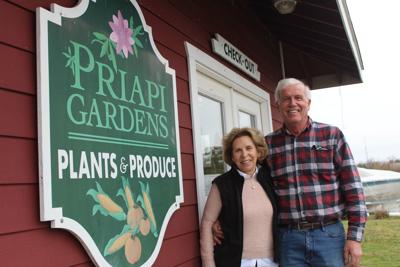 Priapi Gardens goes up for sale | Real Estate | stardem.com