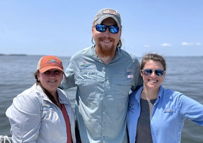 Millions of oysters planted on a 'beautiful day' in Eastern Bay | News ...
