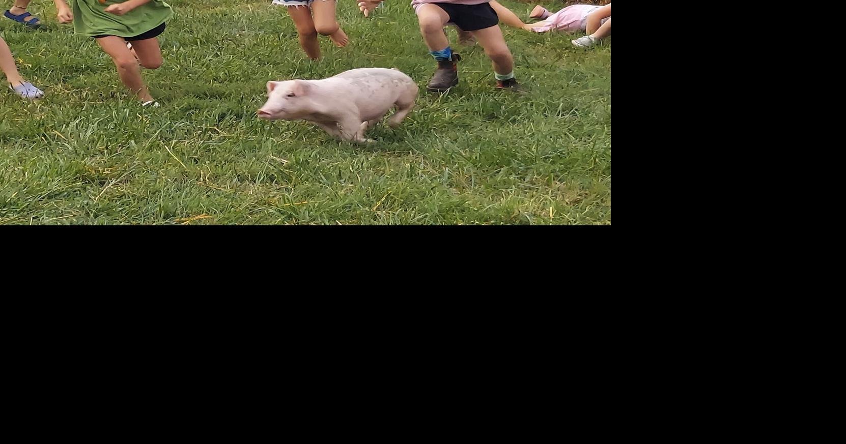 Kent County 4-H Fair celebrates youth, farming and fun | | stardem.com