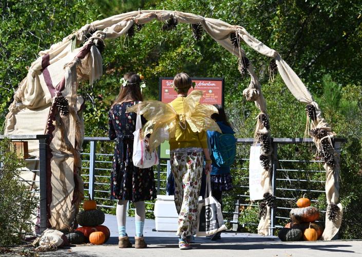 Fairy Fest draws hundreds to Adkins | Life | stardem.com