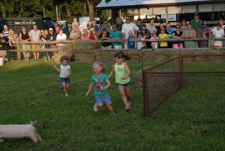 Greased Pig Contest at the Caroline-Dorchester County Fair | Life ...