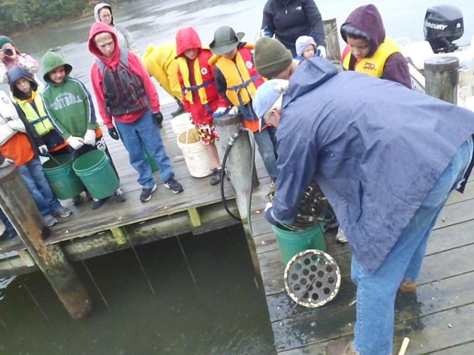 Flood Bucket program aids oyster population | Local | stardem.com