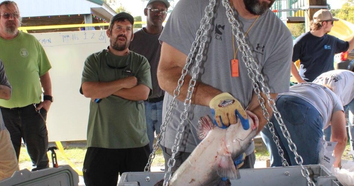 CCA sponsors 7-month tourney to target invasive species | Environment ...