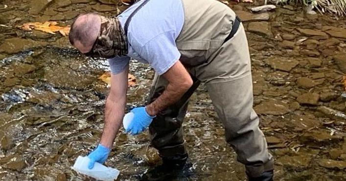 ‘eDNA’ reveals what’s swimming in the water | Environment | stardem.com
