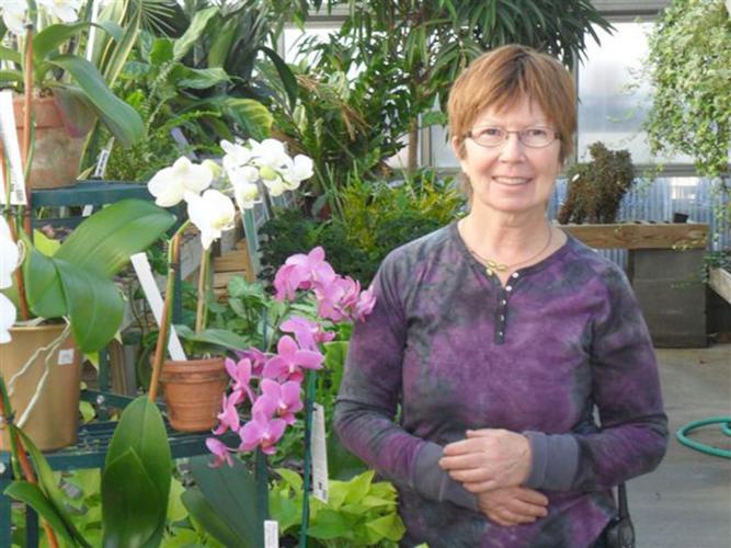 ALL Offers Three February Programs | Life | stardem.com