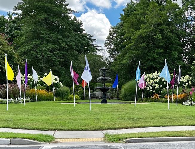 Tidewater Rotary announces Flags for Cancer fundraiser | Life | stardem.com
