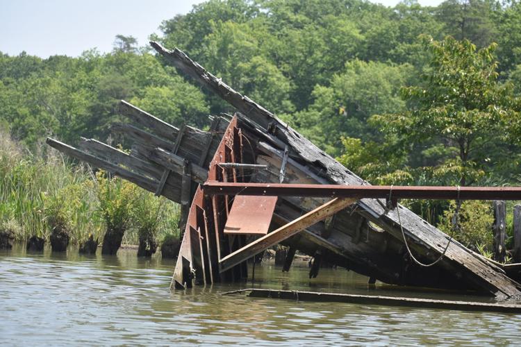 Mallows Bay Sanctuary gears up for new year | | stardem.com