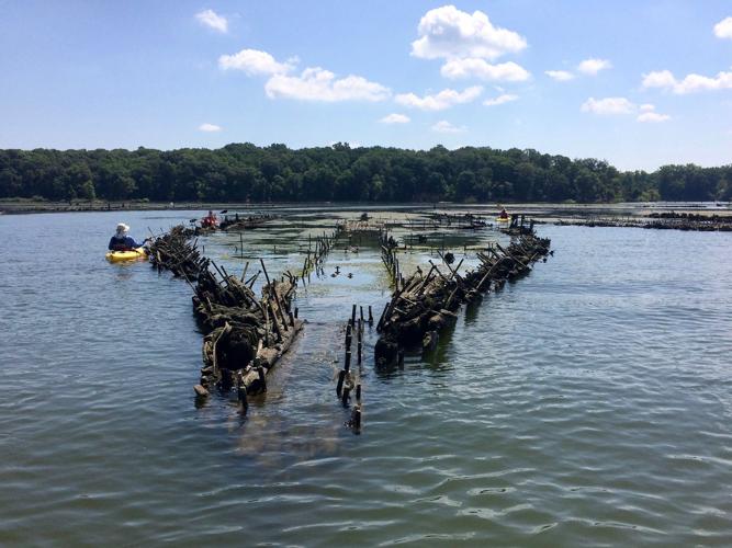 Mallows Bay Sanctuary gears up for new year | | stardem.com