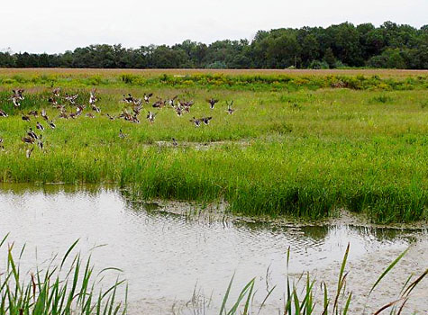 Duvall Farm and Lodge feaured in tour May 15 | Life | stardem.com