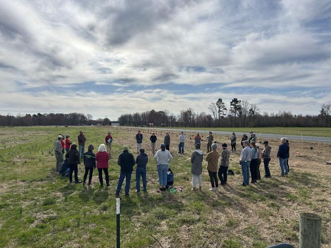 Trees planted at Nice Farm Creamery in Caroline County | News | stardem.com