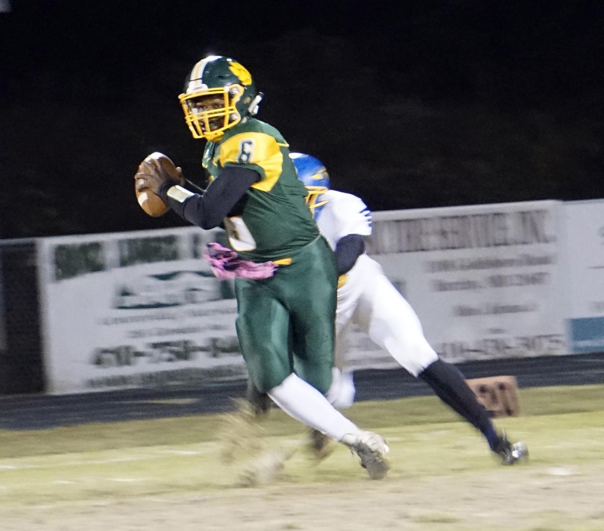 Lions keep faint playoffs hopes alive | High Schools | stardem.com