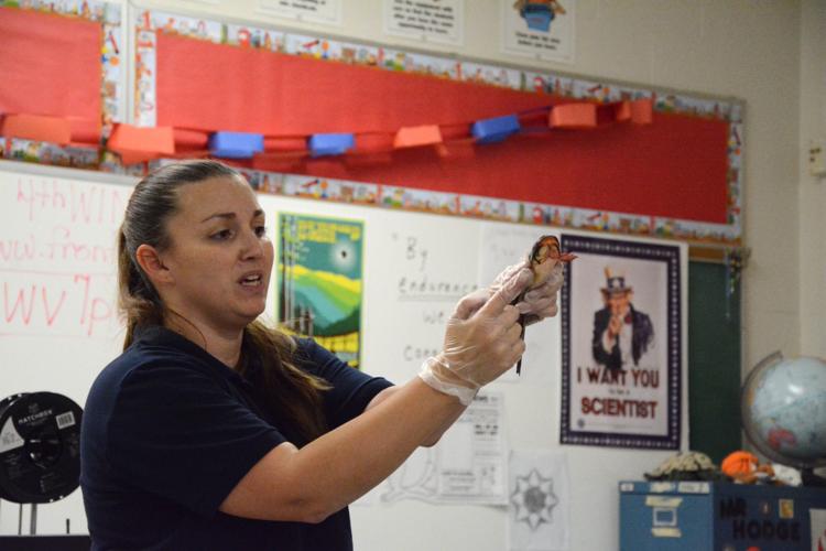 Science club offers a hands-on approach to learning | Local | stardem.com