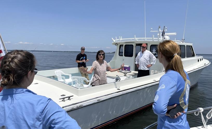 Millions of oysters planted on a 'beautiful day' in Eastern Bay | News ...