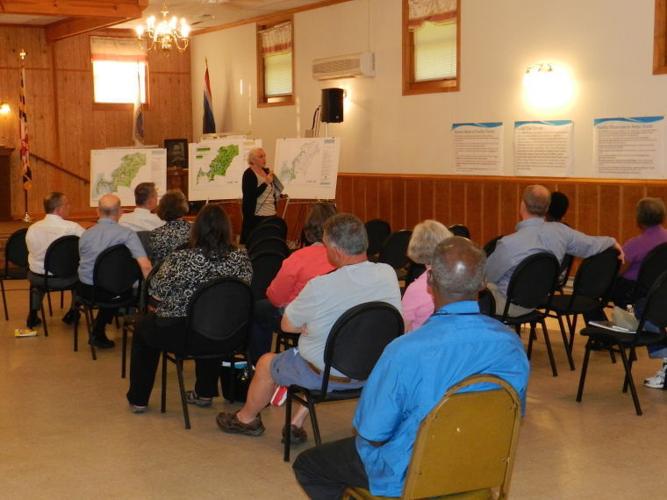 Town hall meeting addresses comprehensive plan | Local | stardem.com