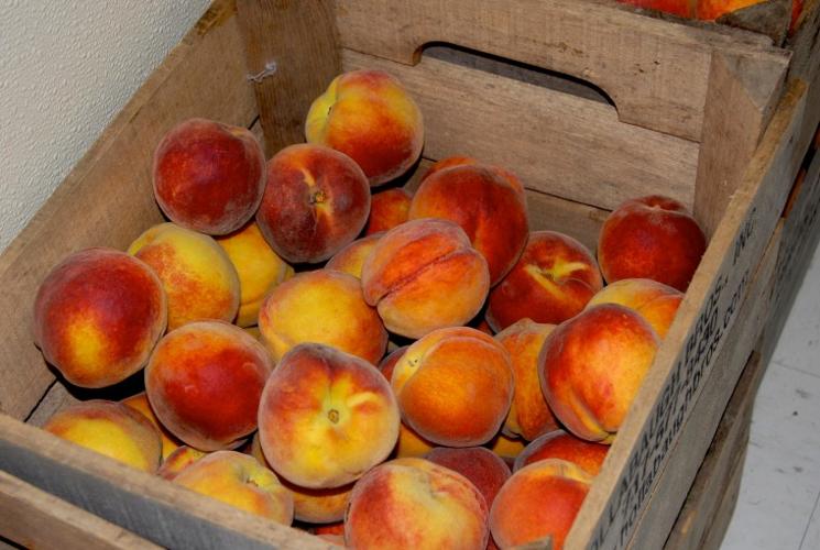 Preston church celebrates 12th annual Peach Festival | Local | stardem.com