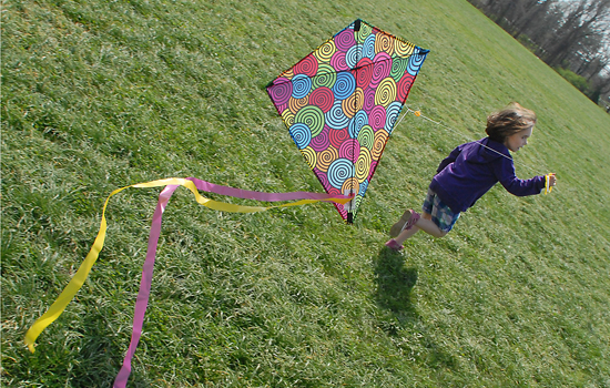 Would you like to fly? Easton Elementary-Dobson first-graders enjoy ...