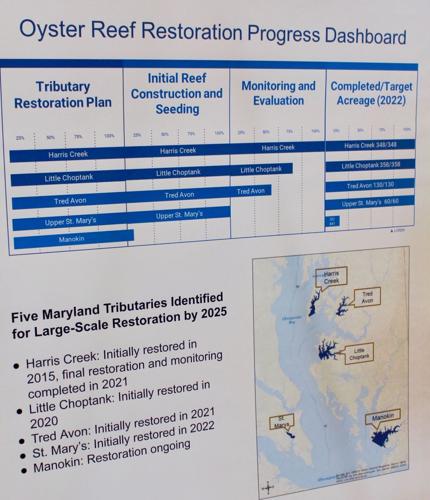 Oyster reef restoration project in St. Mary's River celebrated | State ...