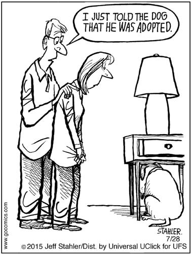 Moderately Confused | Cartoons | stardem.com