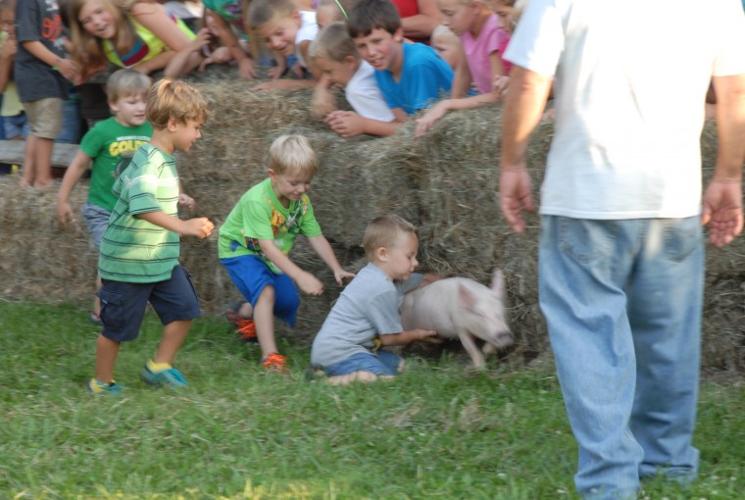 Greased Pig Contest at the Caroline-Dorchester County Fair | Life ...